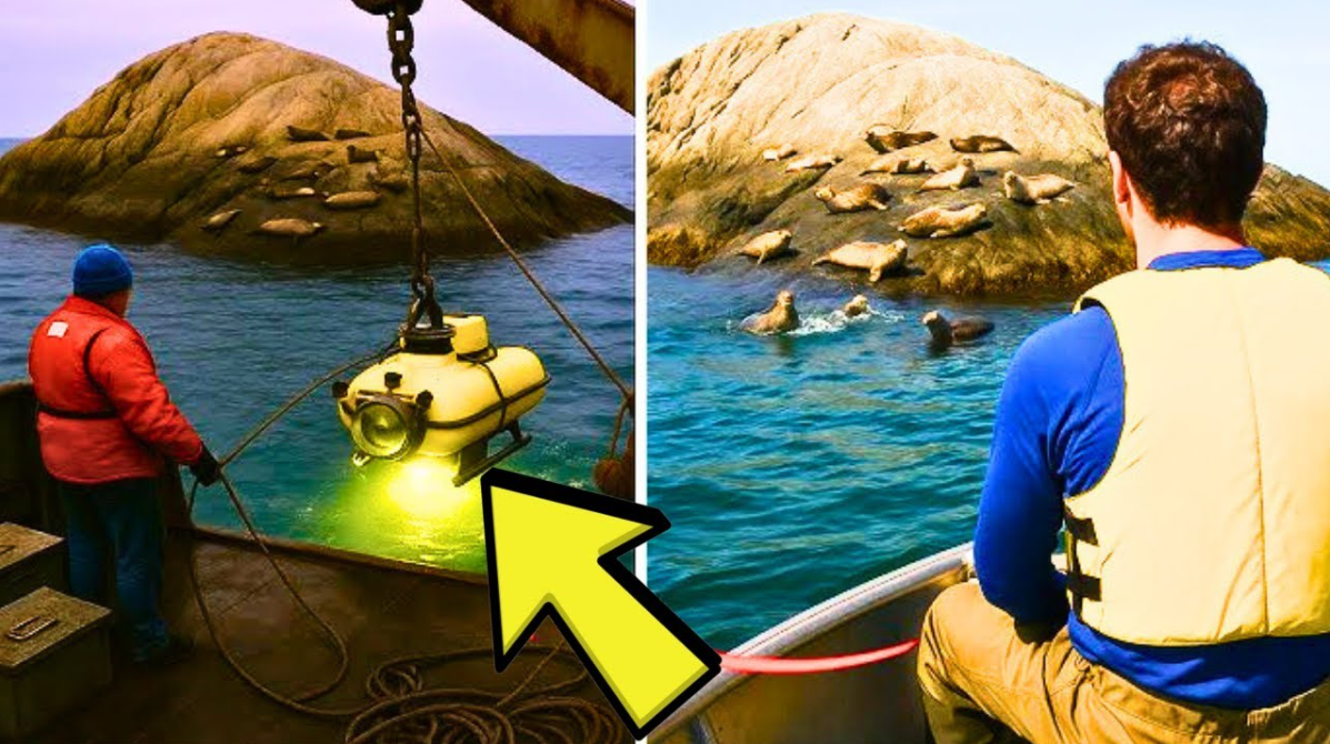 Scientists Find Missing Warship Under the Ocean — What They Discovered ...