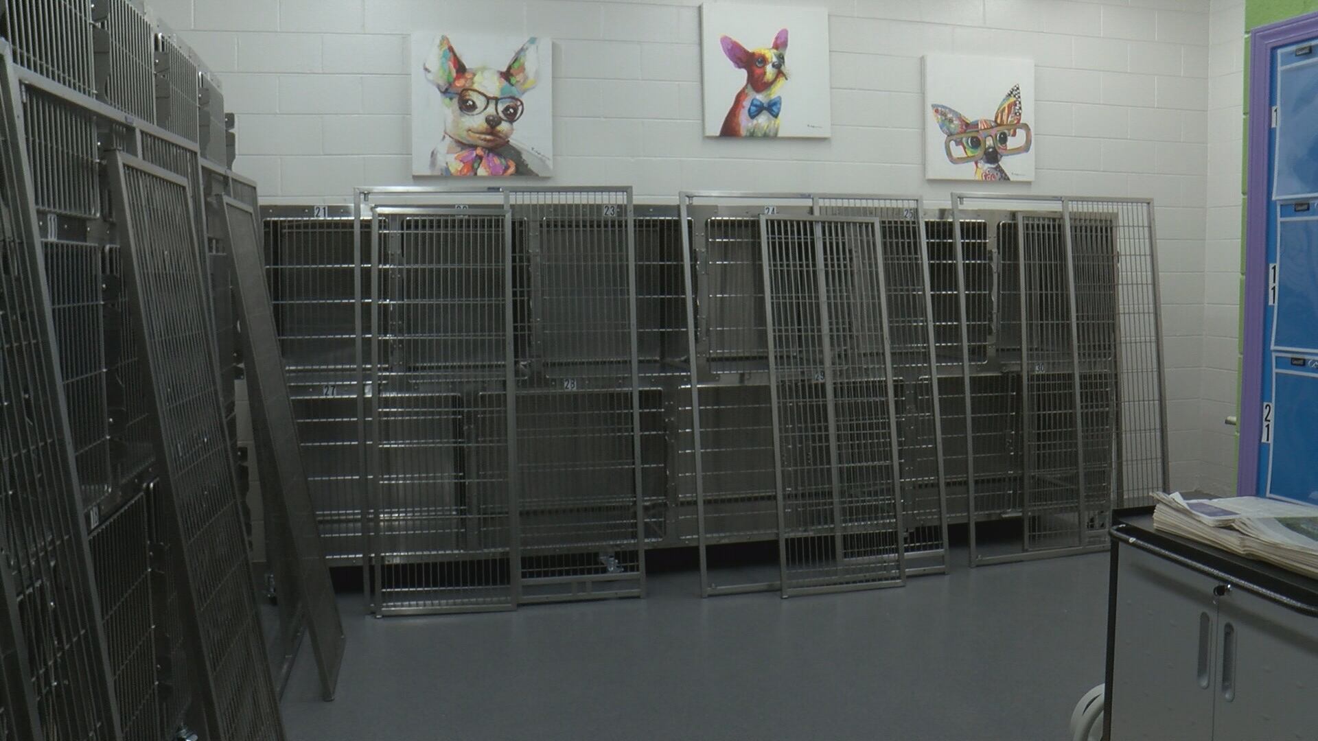 Montgomery Humane Society renovation nears completion