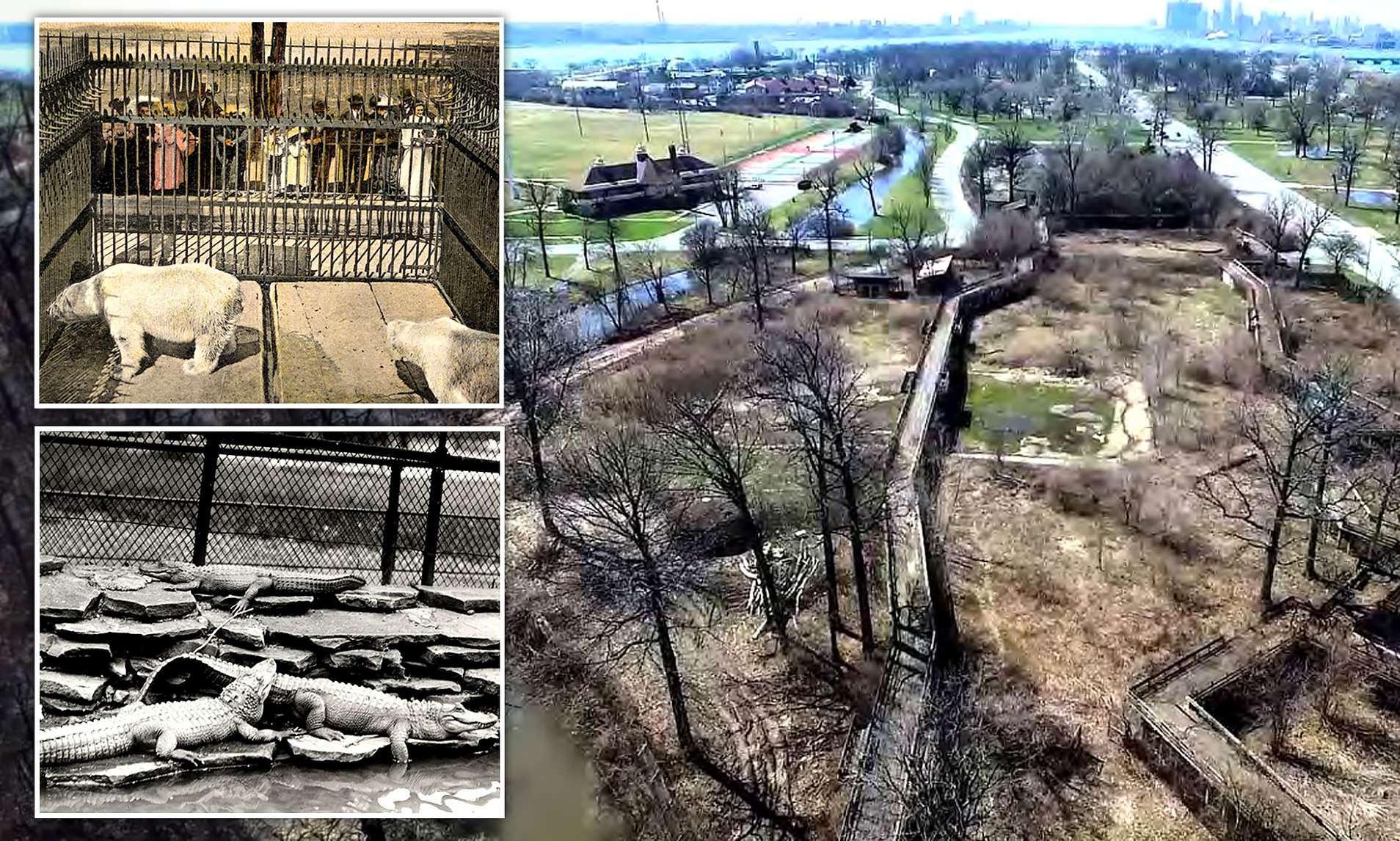 It was once the ultimate day out but now photos show abandoned zoo as ...
