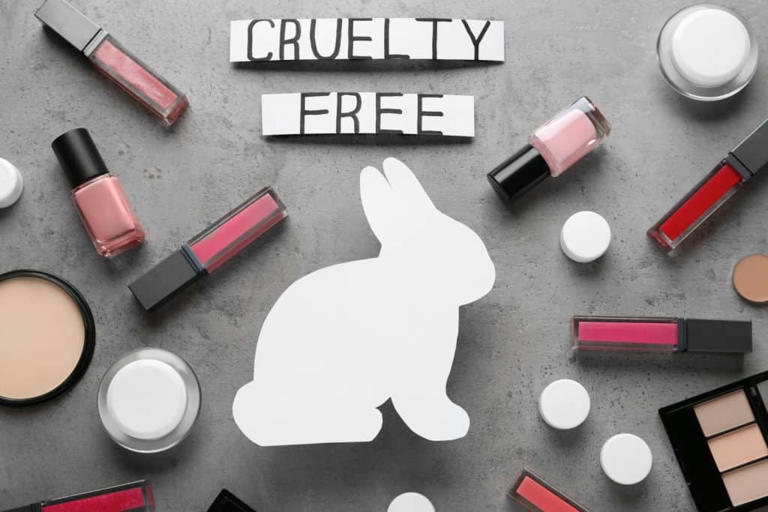 Animal Testing: Which Products Still Use Animals and What Are the ...