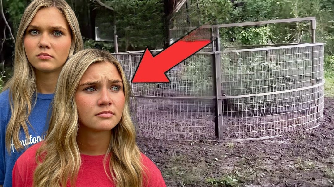 Twins, Yawt Yawt, and the Hog Trap Setup