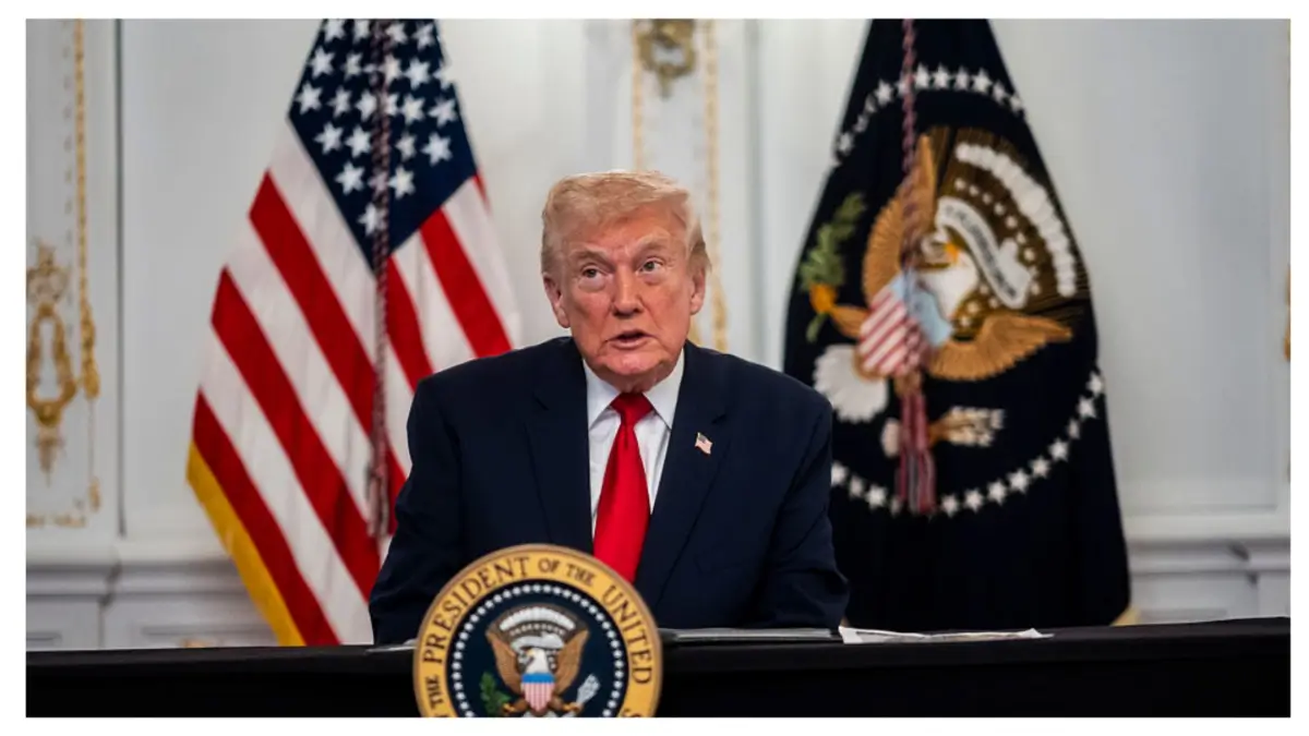 ‘No Brains Left’: Trump’s Search for a Simple Answer Derails Fast — He ...