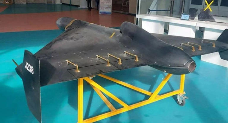 Ukrainian Sting interceptor drones destroy jet-powered Shaheds for ...