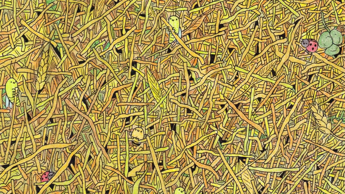 Nobody Could Spot The Needle Hidden In This Haystack In 28 Seconds! Are ...