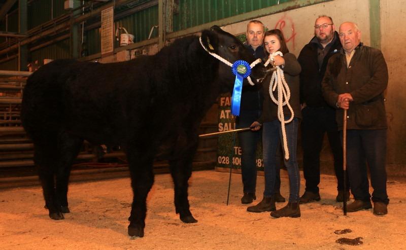 Overall champion sells to £12,600 at Hilltown Christmas Show and Sale