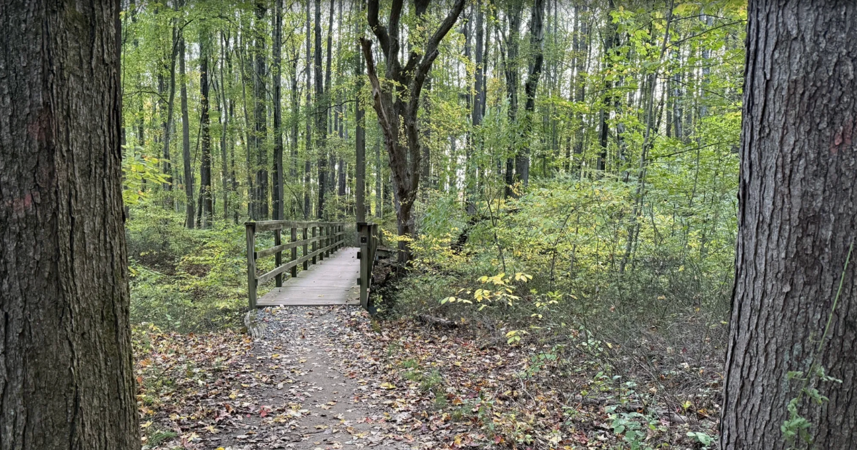 Discover Delaware's Most Narrow and Claustrophobic Hiking Trail