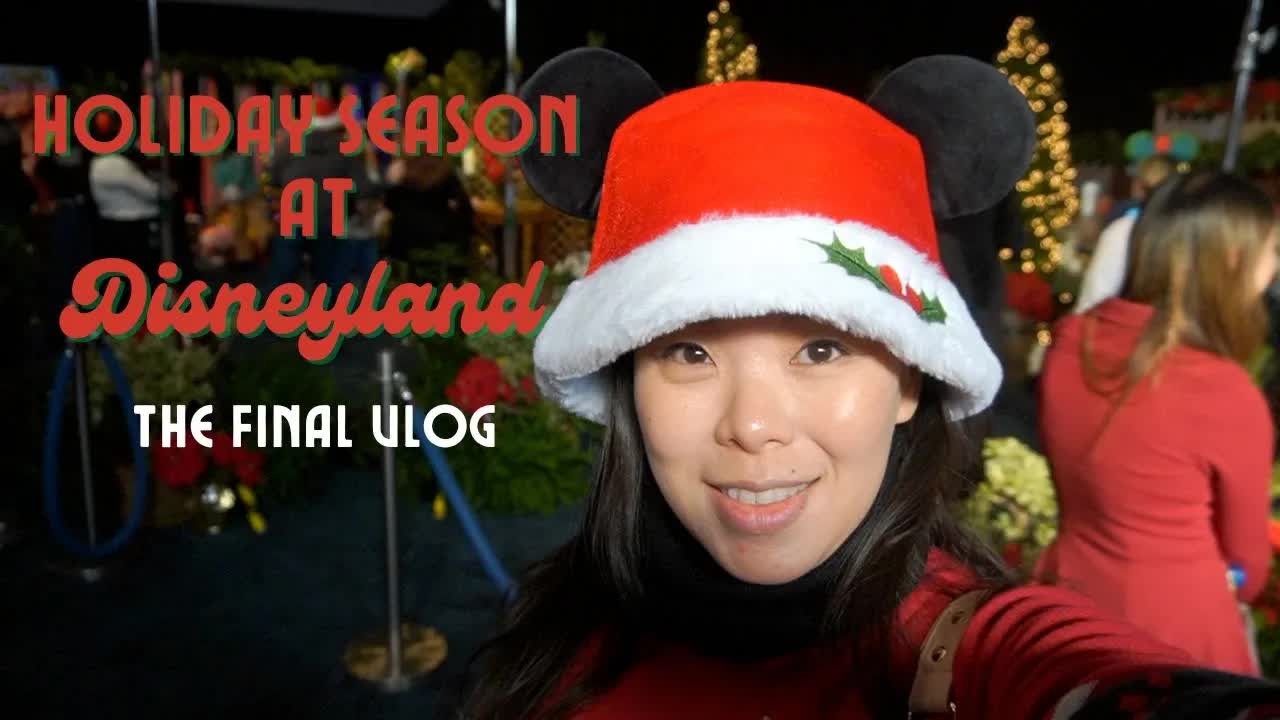 The last vlog - holidays at Disneyland | Vlog 141
