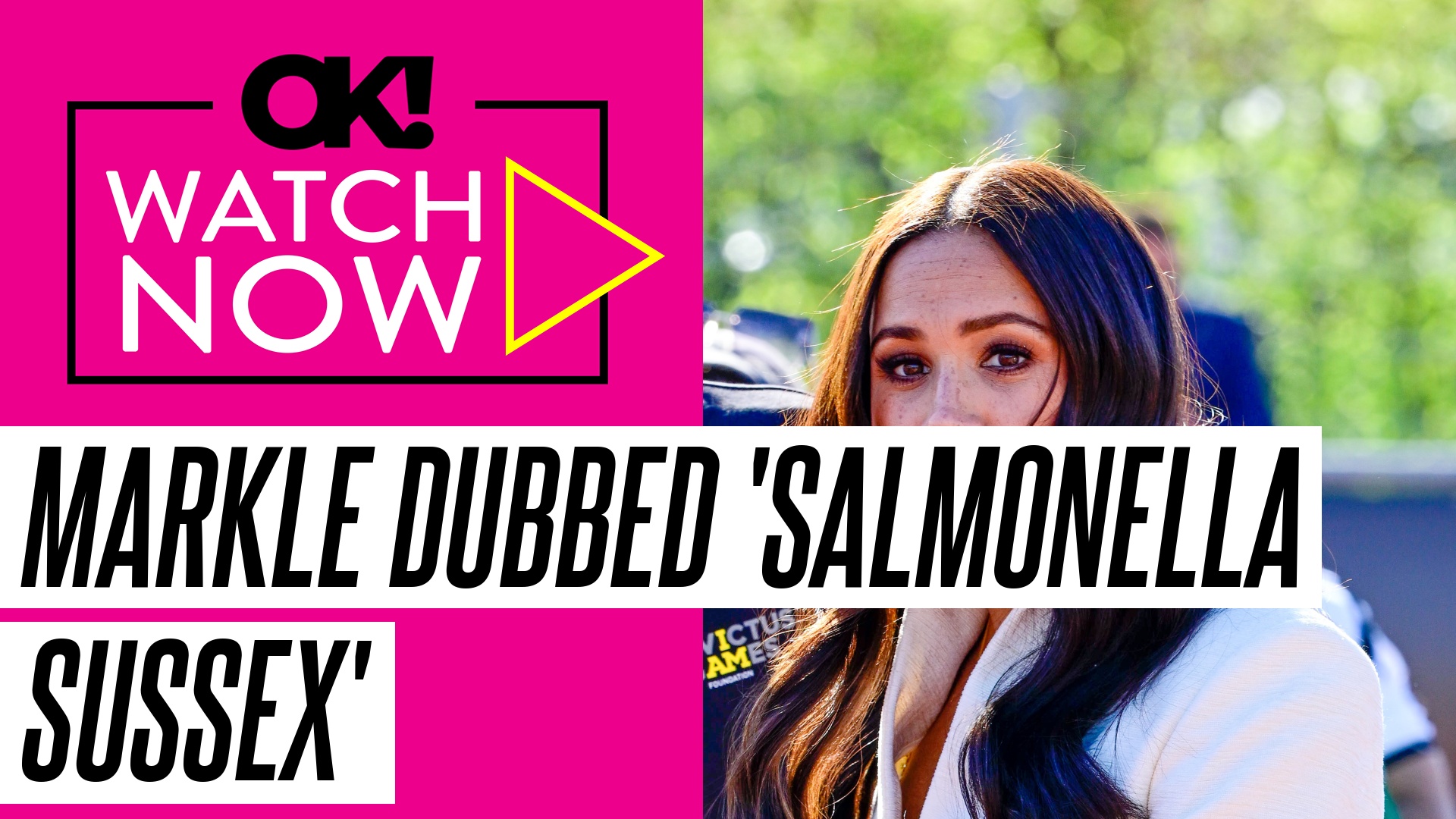 'Blithering Idiot' Meghan Markle Branded as 'Salmonella Sussex' Over ...