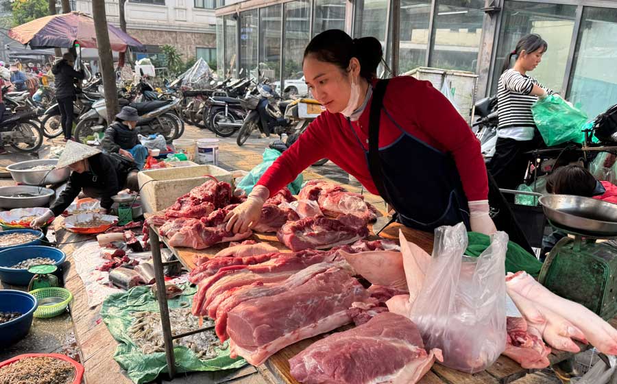 Giá heo hơi hôm nay 30.11: Không biến động, cao nhất 55.000 đồng/kg