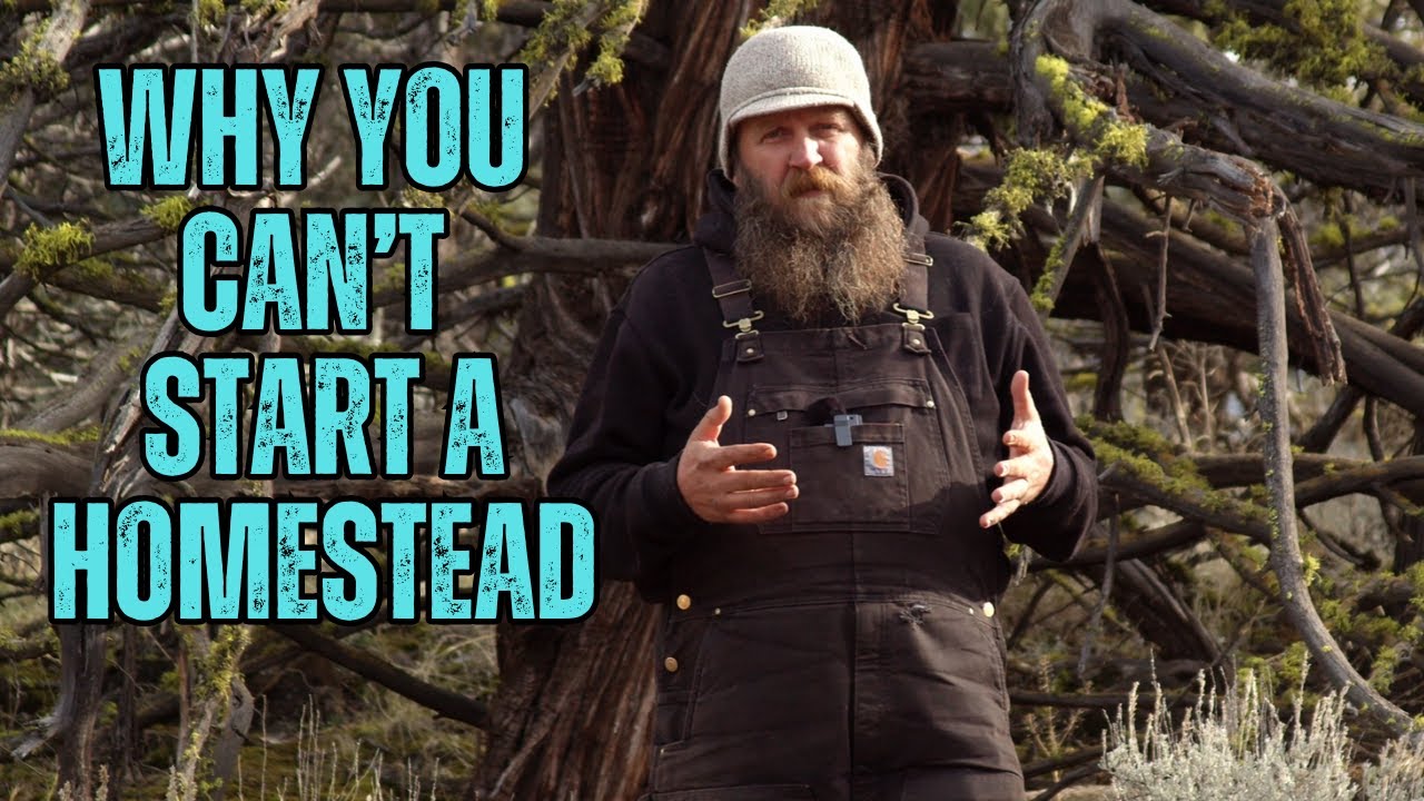 How Anyone Can Homestead or Live Off Grid – Practical Tip