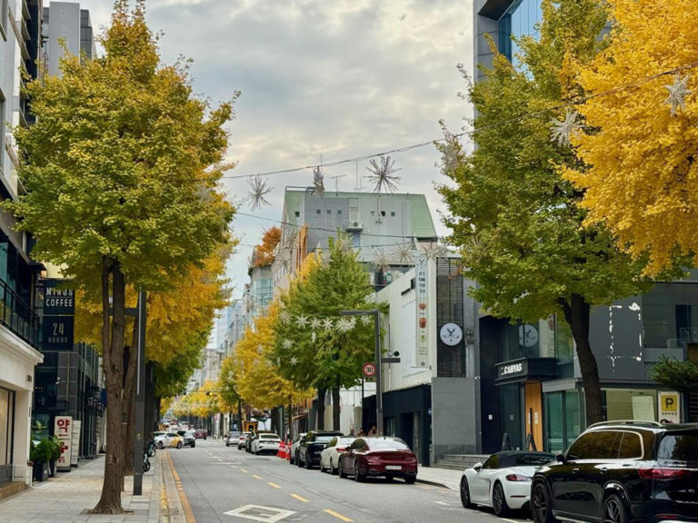 Seoul: T-Money or Climate Card? My vote goes 100% to Climate Card