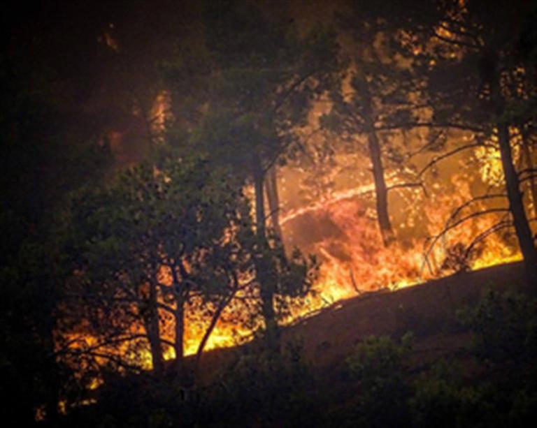 Forest fire breaks out in Chowan Keller, teams rush to control blaze