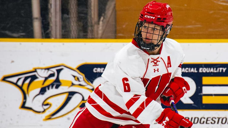 Wisconsin Women Score 17, Yes in College Hockey, Set Numerous Records ...