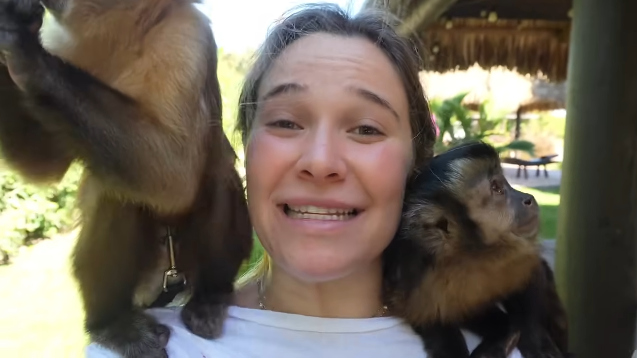 The sweet, funny, exhausting routine of raising baby monkeys