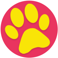 When Alia Bhatt shared the adorable pic of her 'cat of honour' from her ...