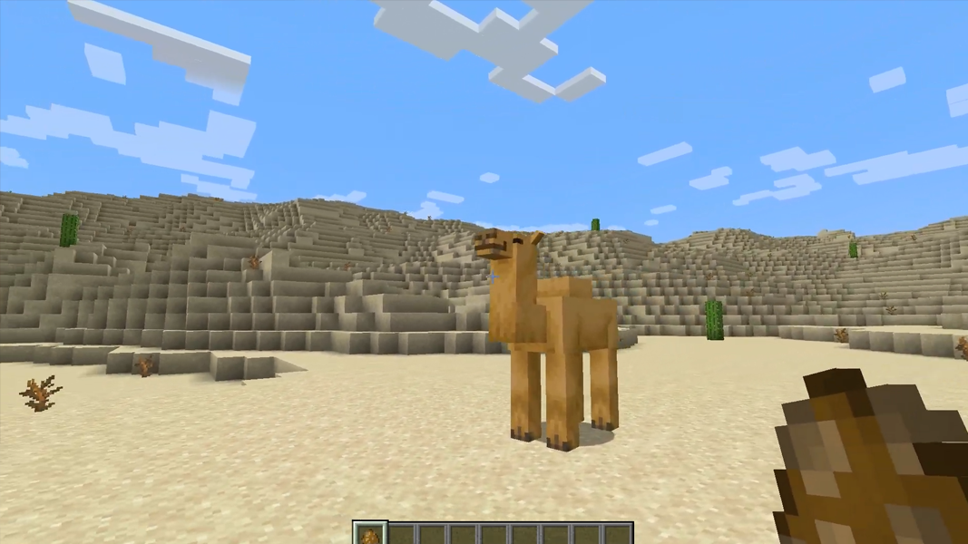 Minecraft Camel Feature Review
