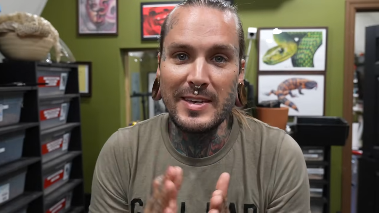 How a clutch of hognose eggs turned into a tank full of tiny explorers