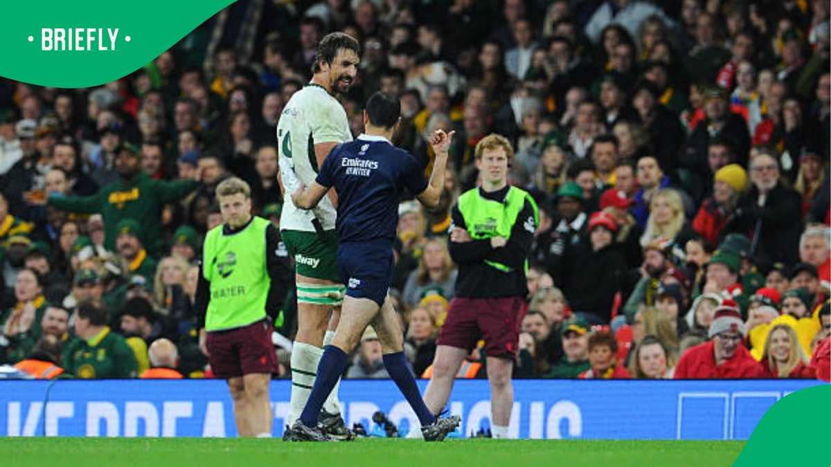 Montgomery reflects on 2003 suspension and Etzebeth eye-gouge incident