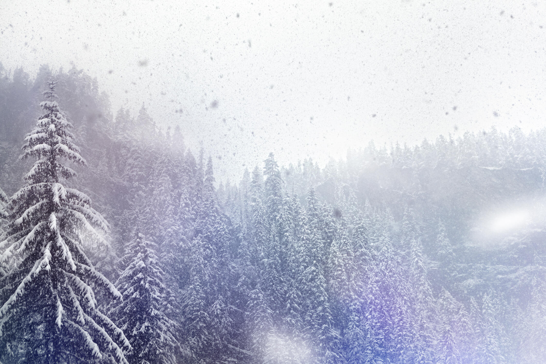 Meteorological Winter Begins Today