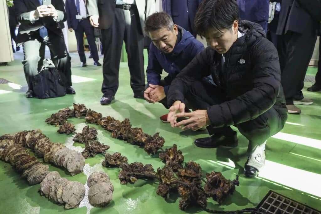Warmer seas causing Japan’s oysters to die ‘en masse’: officials
