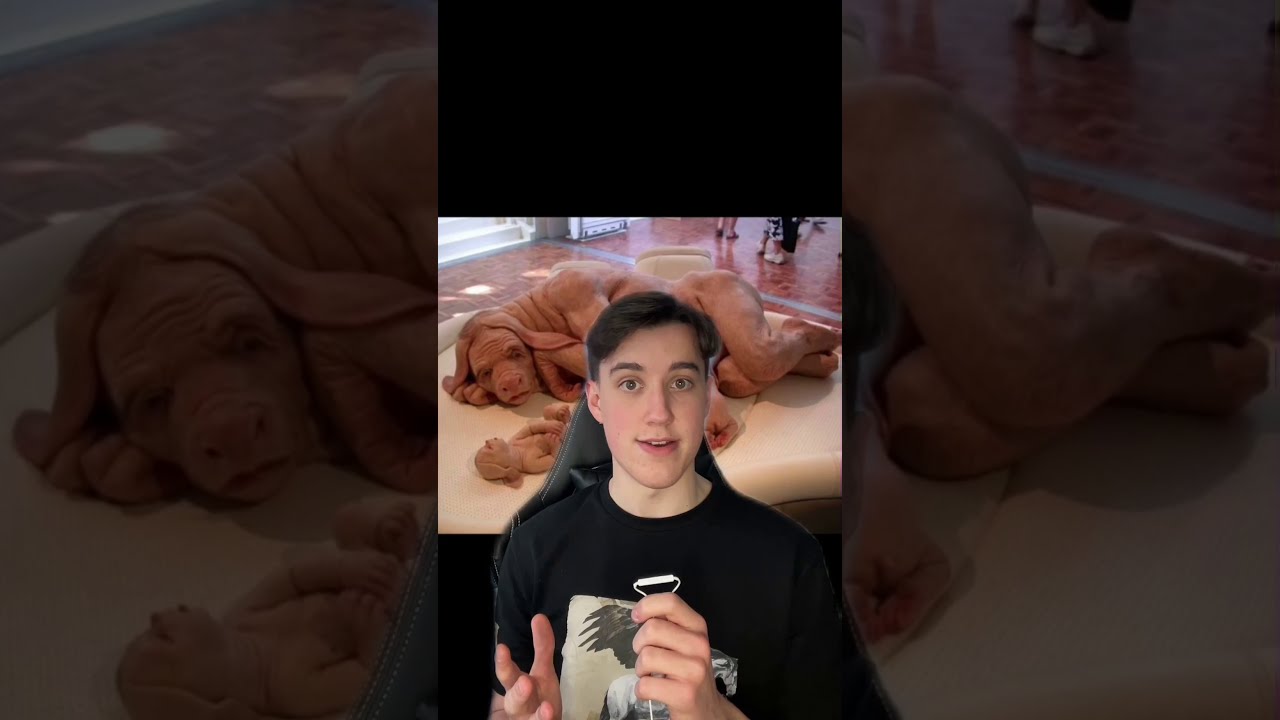 A study exploring early research on human–animal hybrids