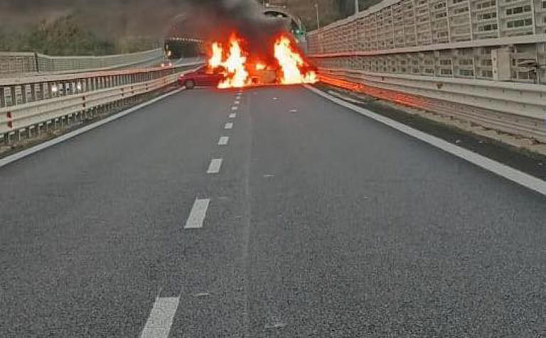 Millions stolen in attack on security van in Calabria