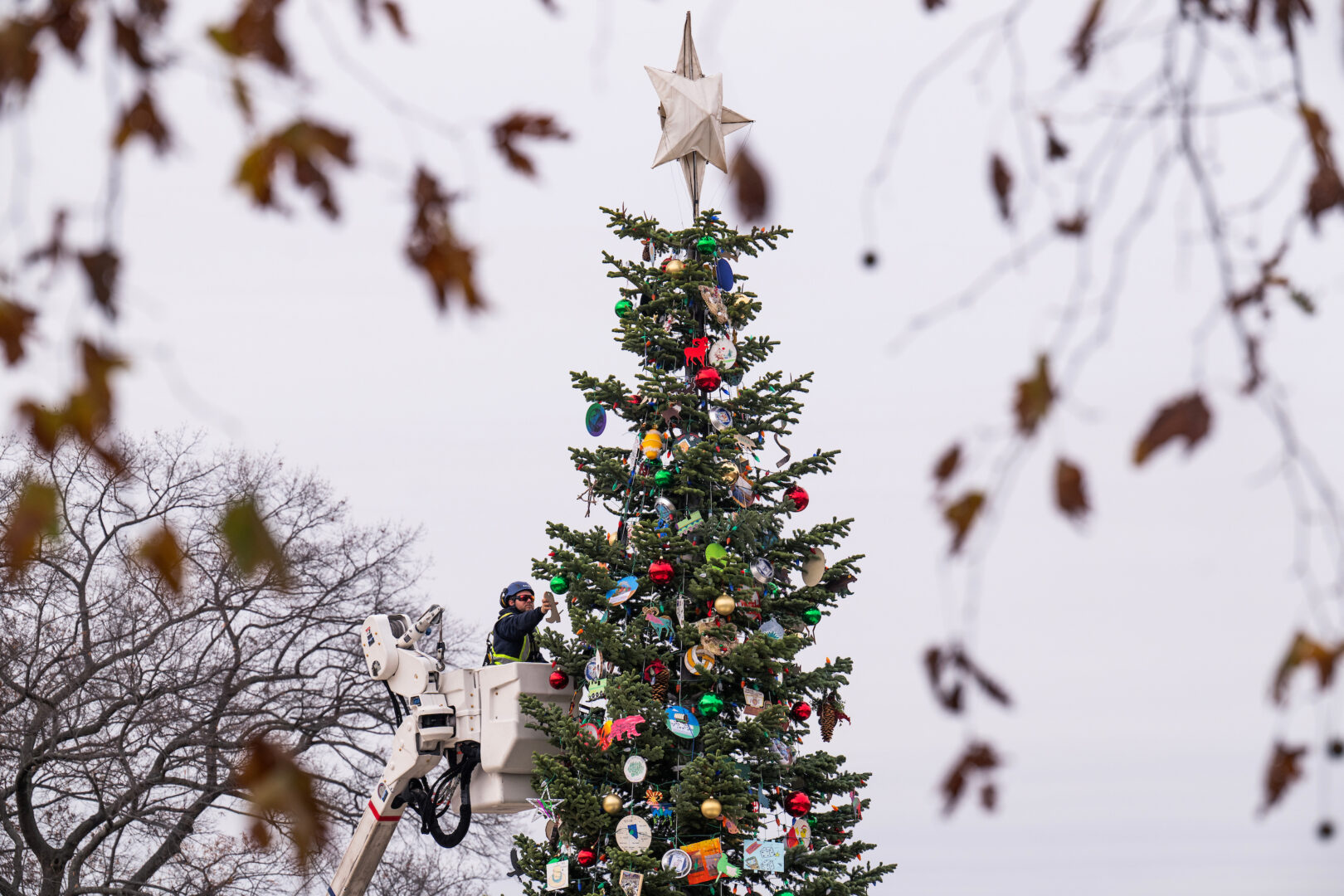 This week: Defense policy bill on the move as Capitol Christmas tree ...