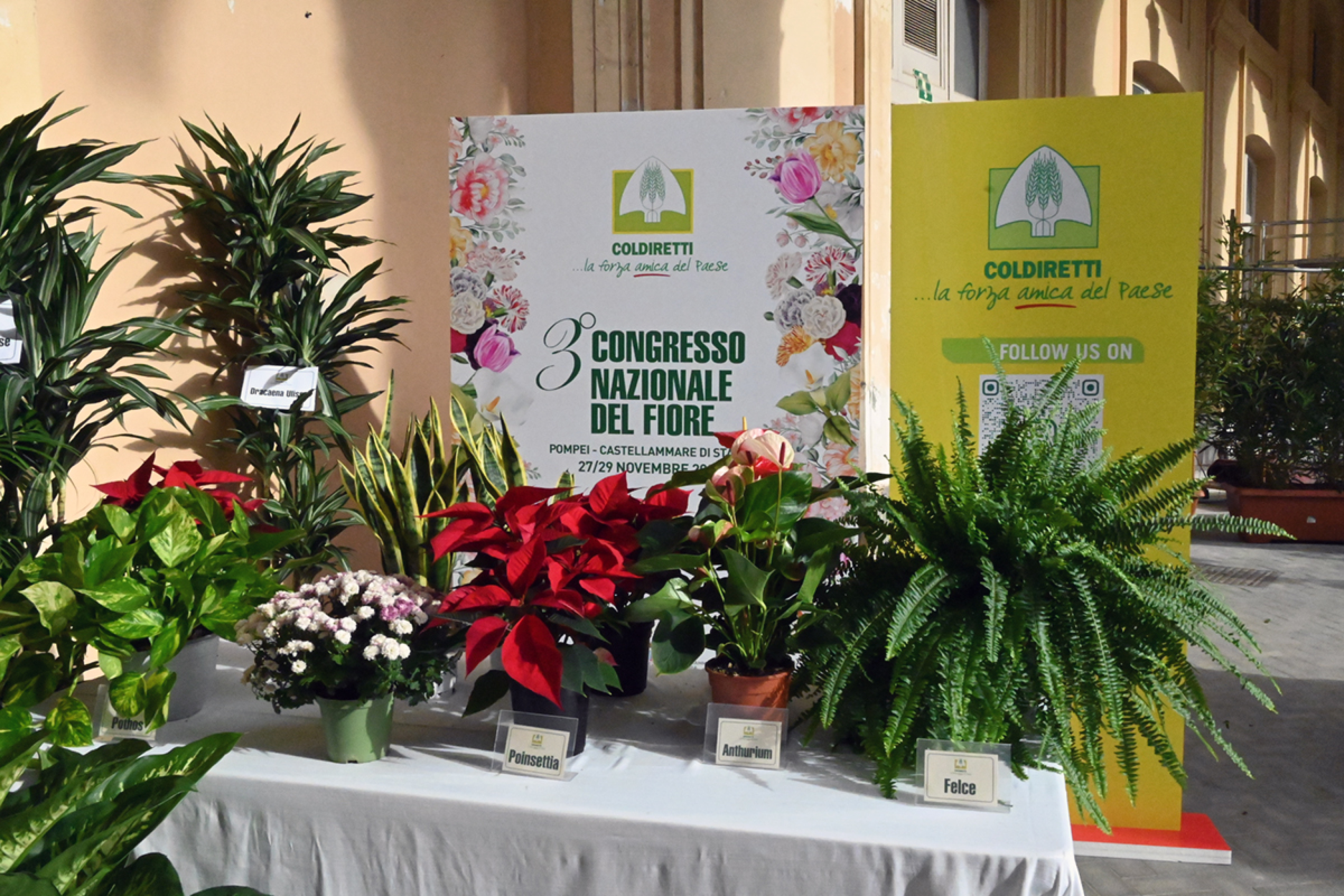 Fiori italiani sempre più green e giro affari verso nuovo record