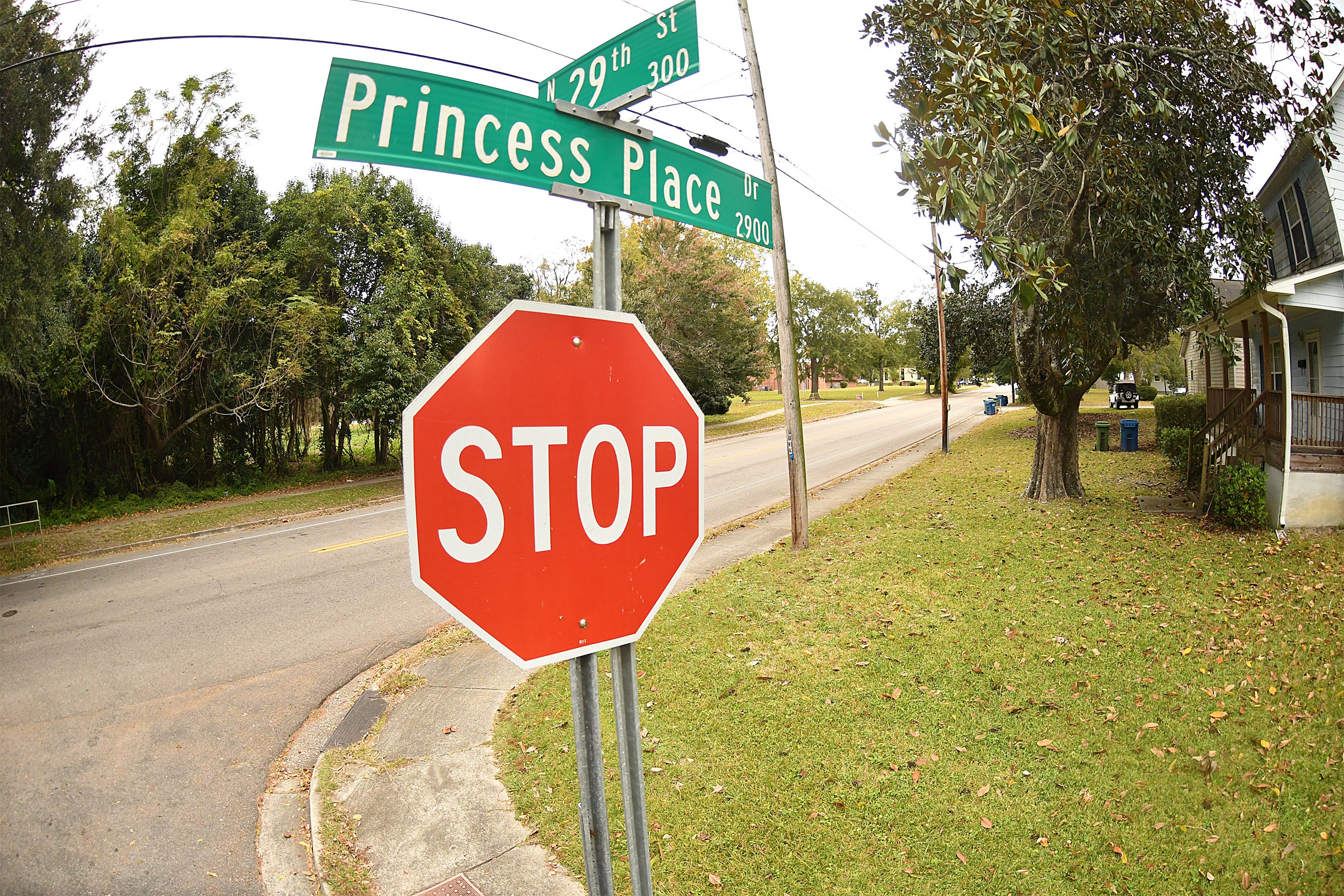 The people of Wilmington's Princess Place Drive