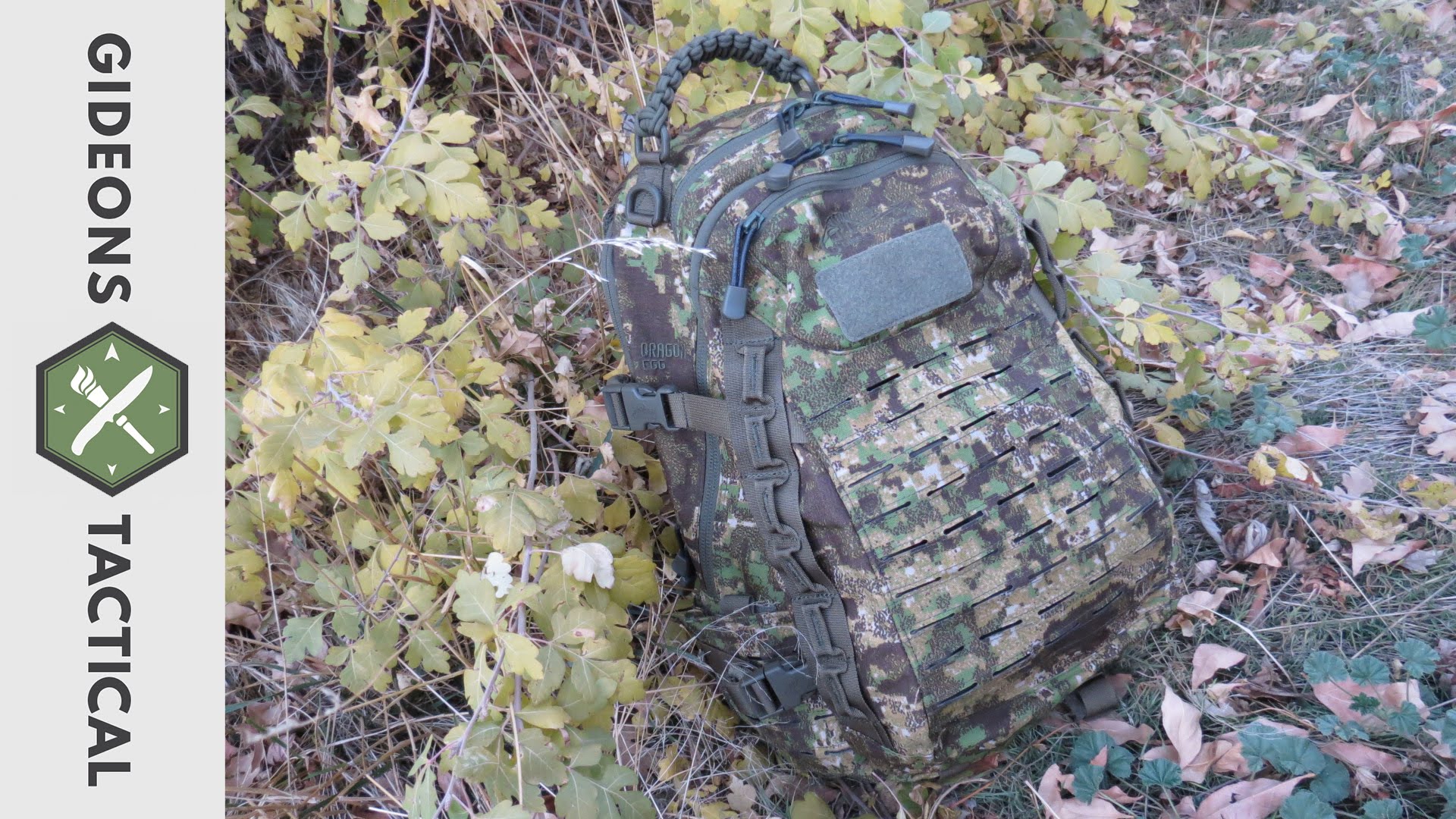 Direct Action Dragon Egg pack with comfort and organization