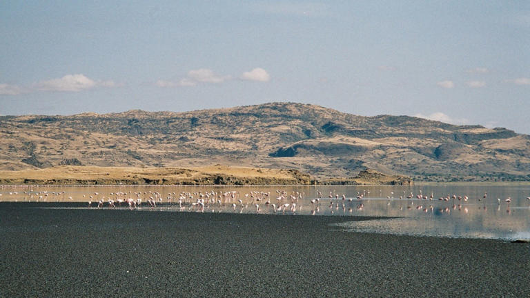 It looks like something from mythology, but there's a lake in Africa ...
