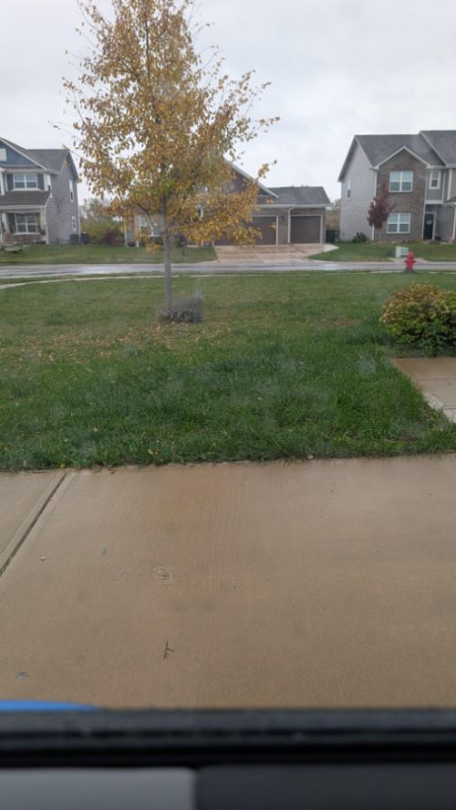 Homeowner shocked after HOA demands treatment of 'excessive' issue: 'So ...