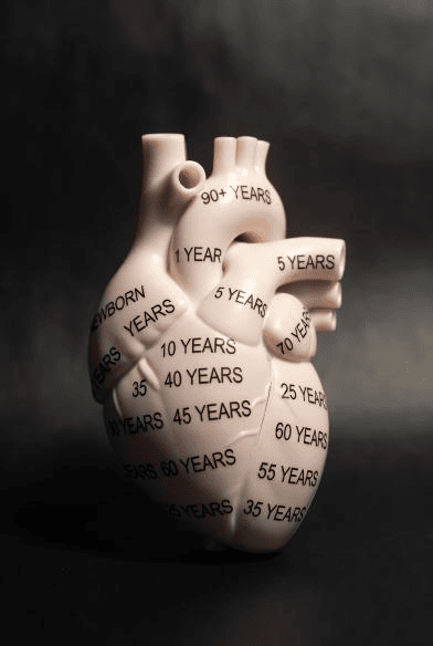 The True Age of Your Heart: How Your Heart Rate Changes Throughout Life ...