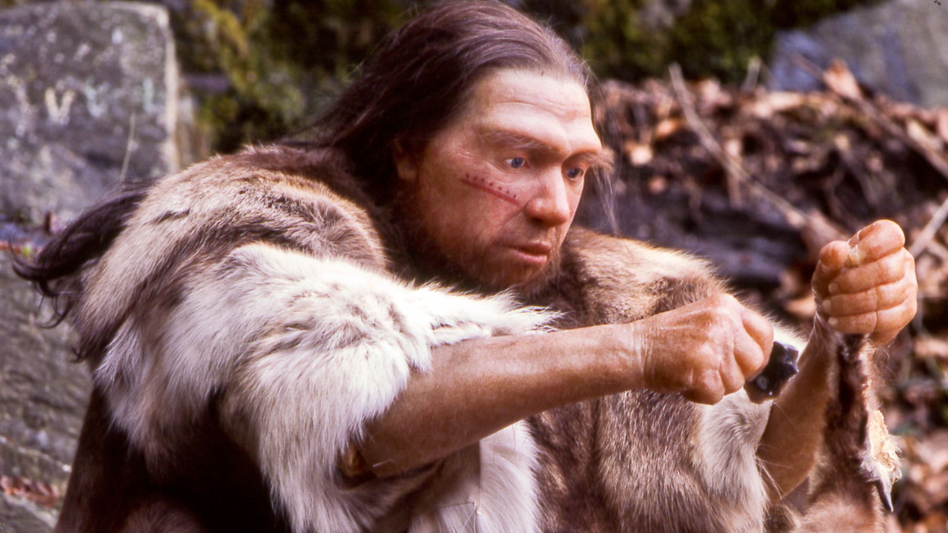 Archaeologists cooked like Neanderthals, and the result was a clear ...