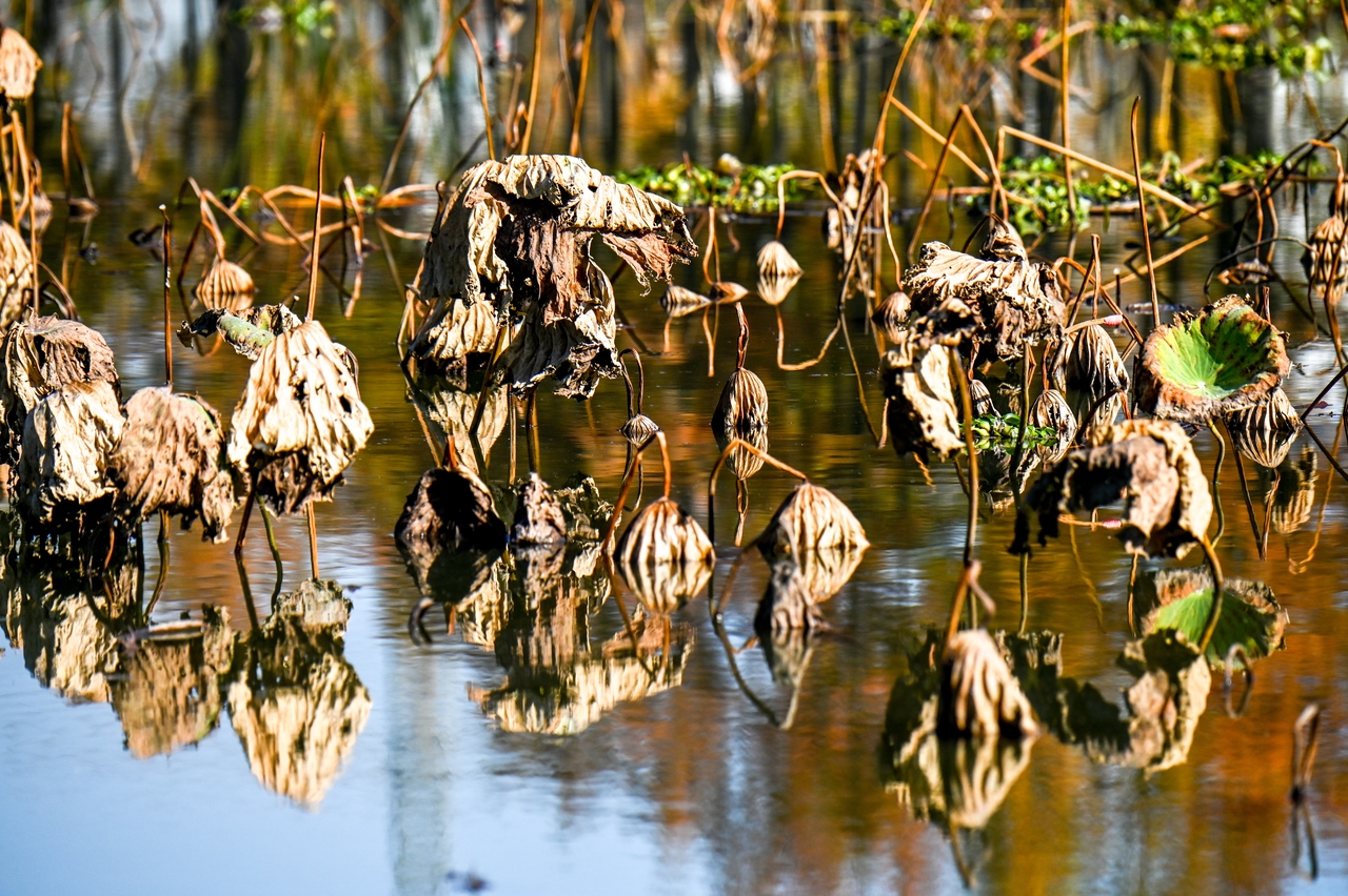 Rare Interstellar Comet 3I/ATLAS Revealed in Unprecedented Detail