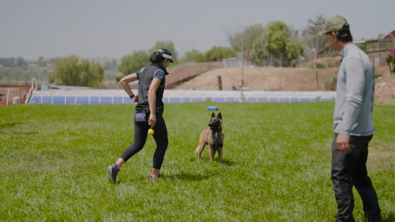 Why Robert Cabral’s motivation method works even on stubborn dogs