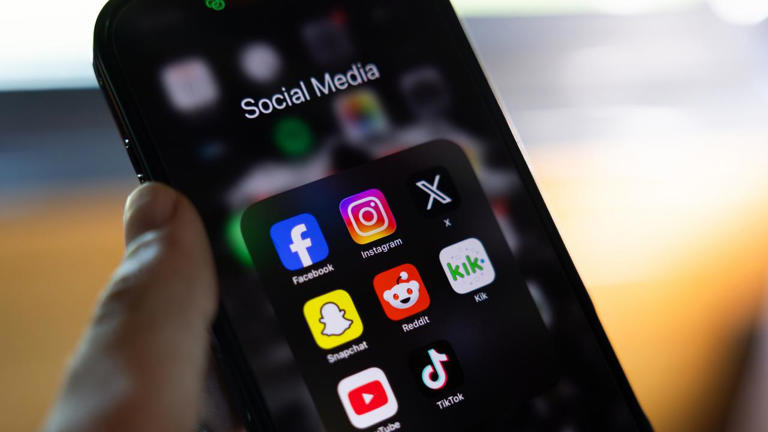 Key question in social media ban challenge