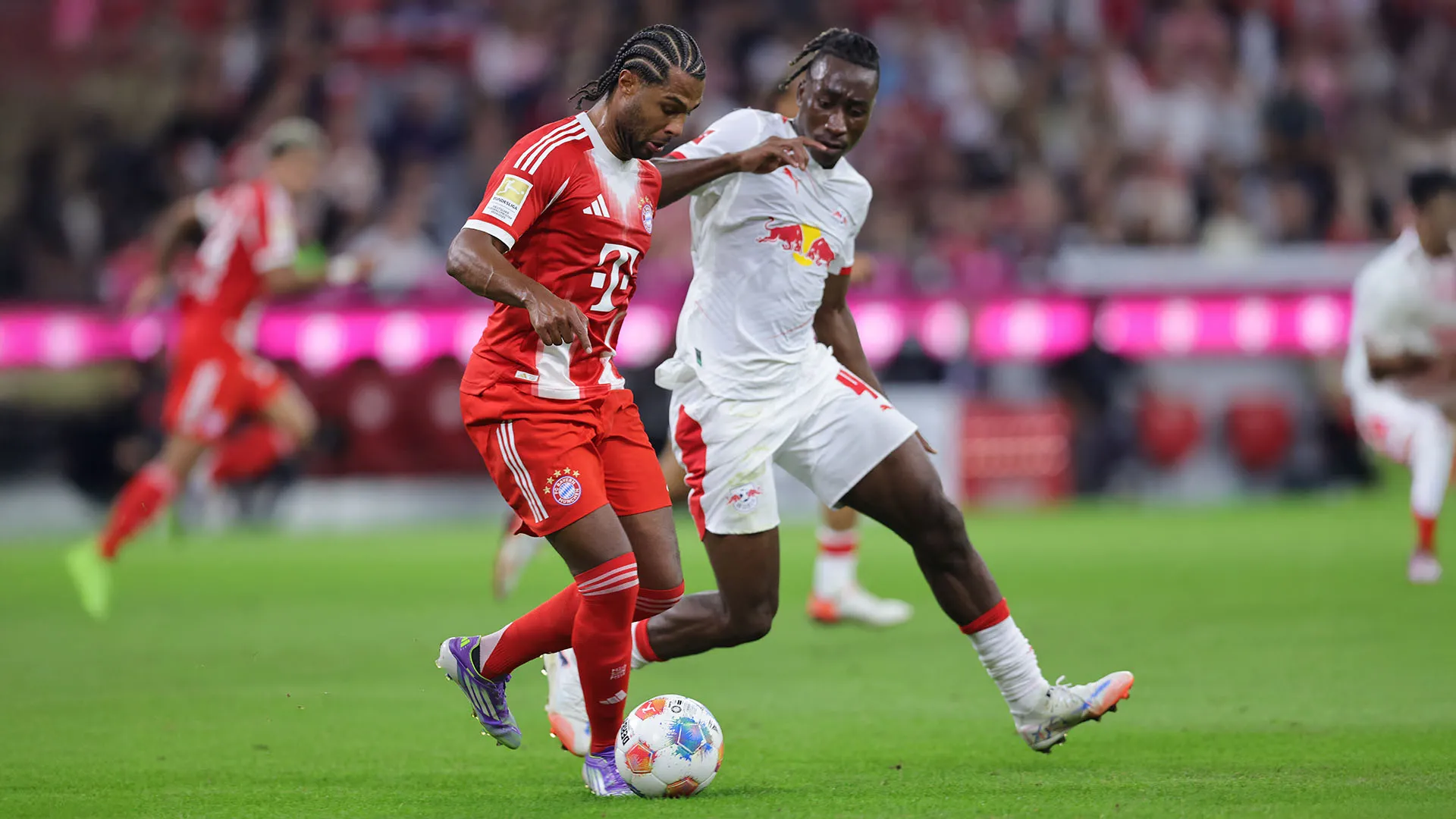 Rattlesnake enclosure makeover that required serious caution