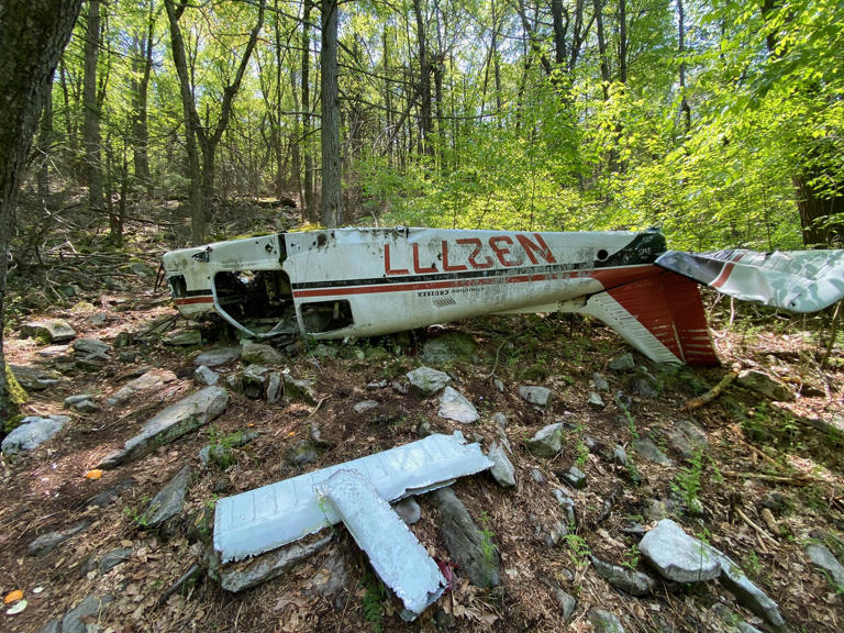 5 Celebs Who Died in Plane Crashes