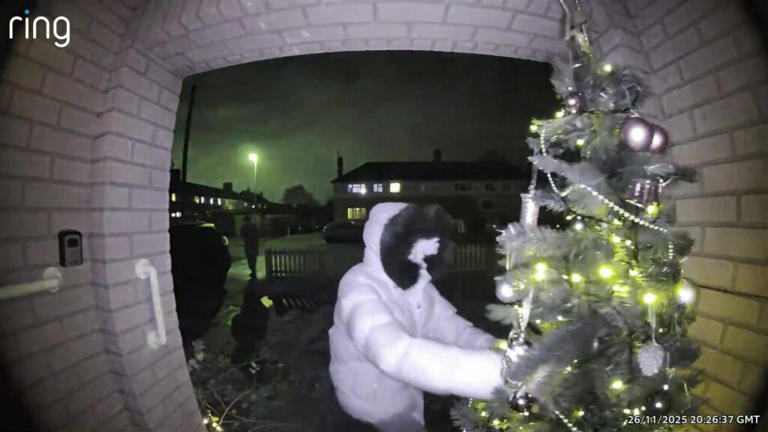 Doorbell cam catches real-life Grinch stealing Christmas tree