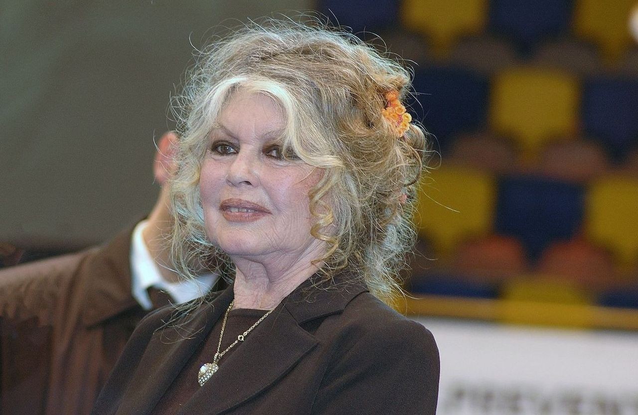 Brigitte Bardot : face aux rumeurs sur sa santé, elle brise le silence et dénonce de « fausses ...