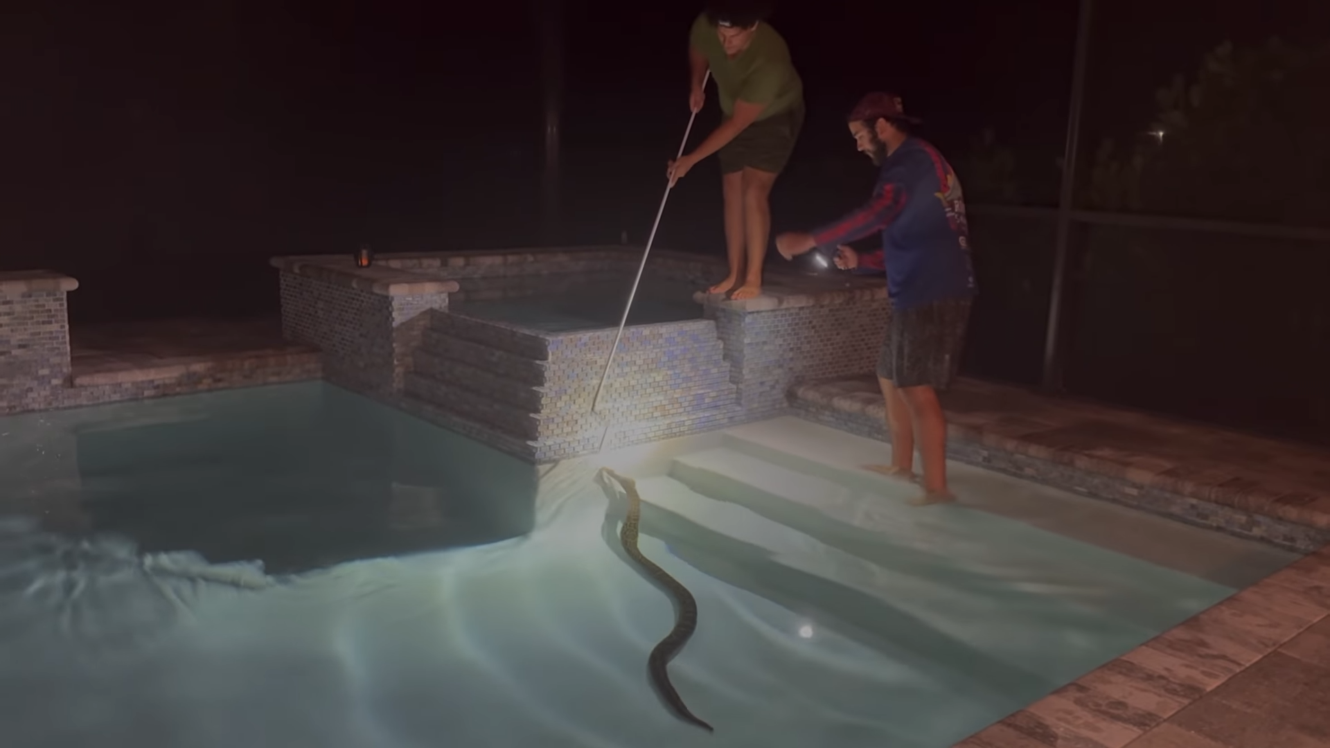 We found a python in the pool and everything got crazy fast