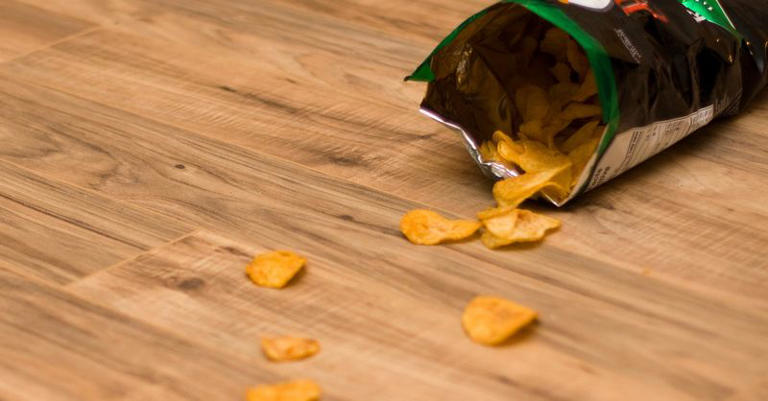 What Scientists Found When They Tested The Five Second Rule For Dropped ...