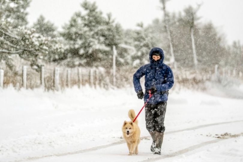 UK snow bombs increase to 'three' with England set to be battered by each