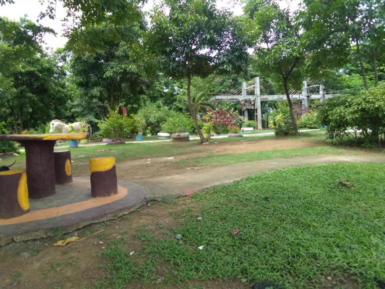 Tree-planting to be a graduation requirement for Mandaue students
