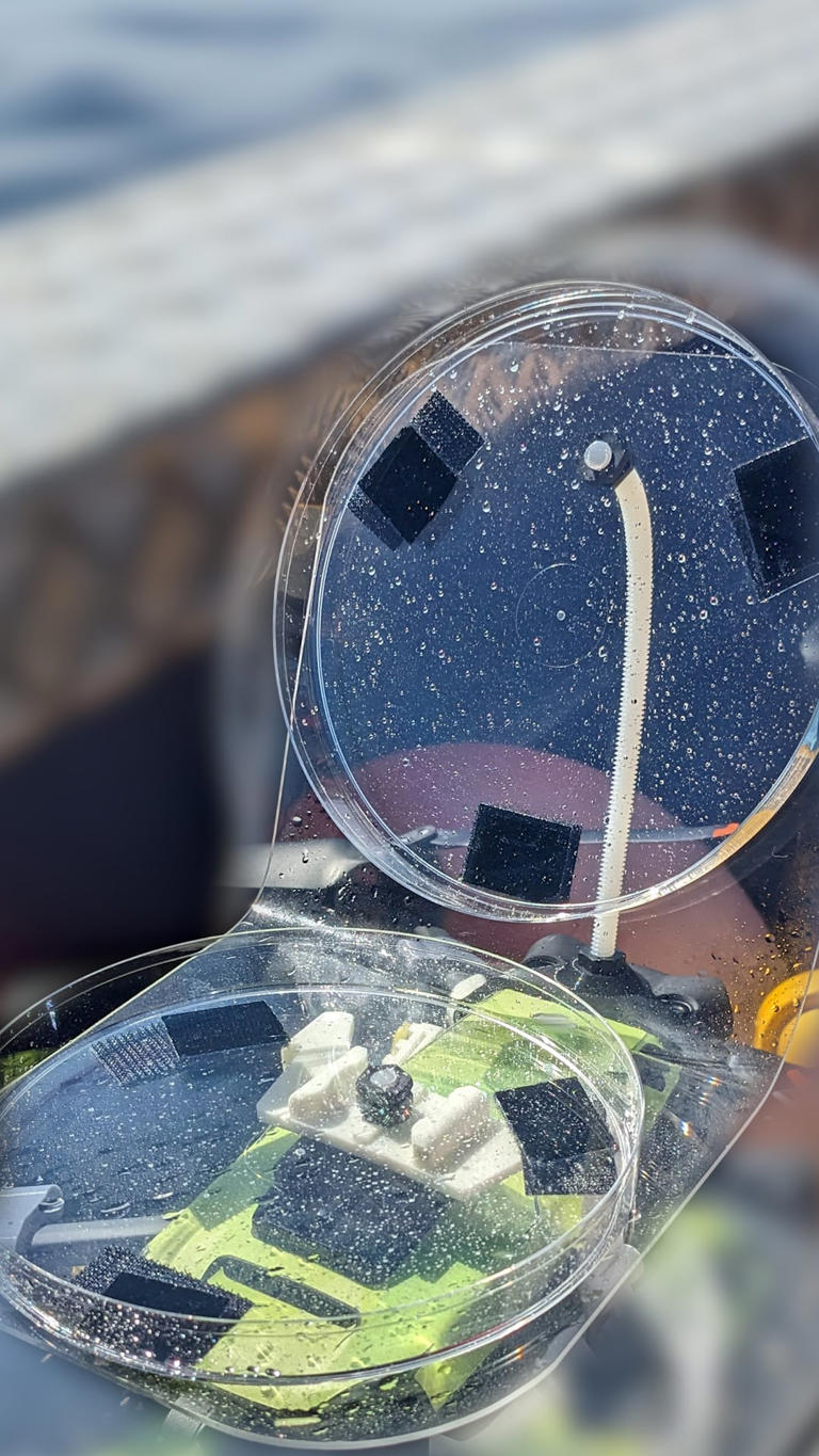 Breath samples collected by drone hold clues to health of North ...