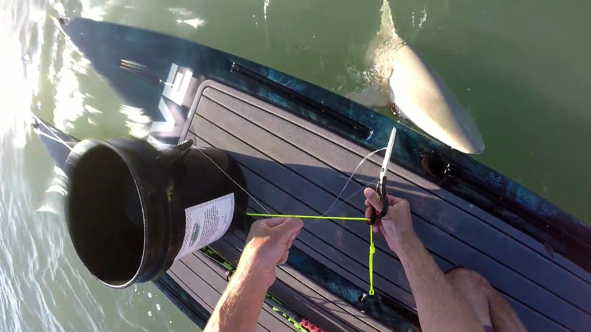 What happens when Reef sharks move in