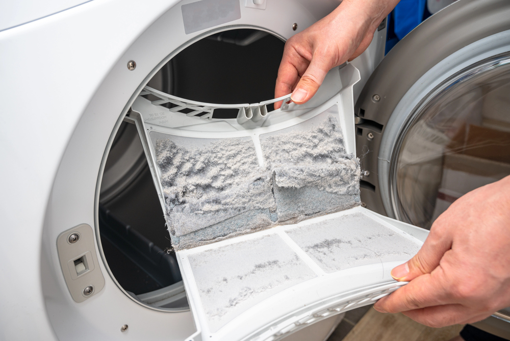 Productive Uses For Dryer Lint