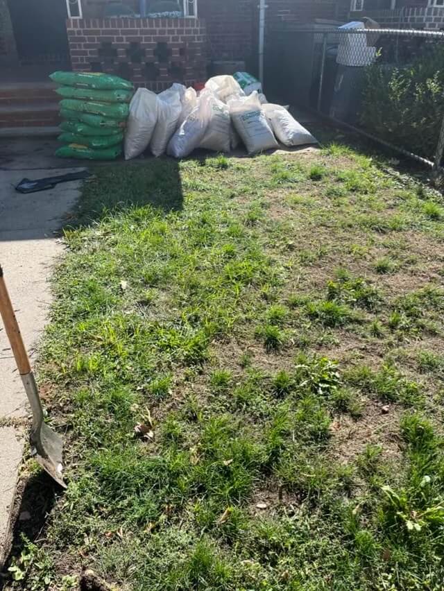 Homeowner shares before-and-after photos following stunning lawn ...