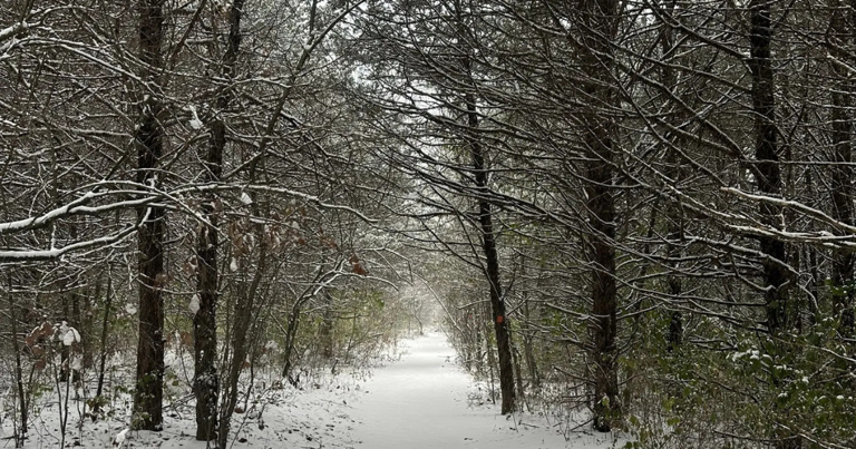This Scenic Missouri Hike Is Even Better in the Winter
